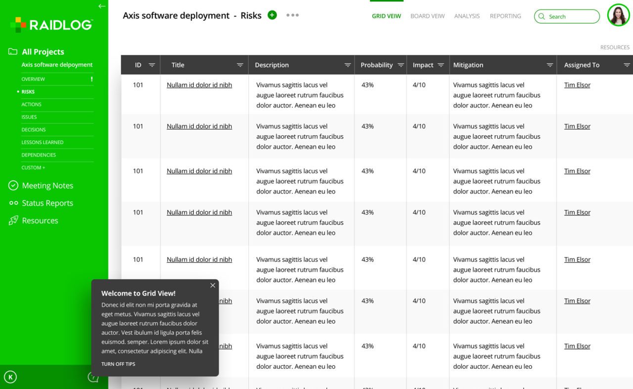 RAIDLOG - SaaS Based RAID Log Project Management Tool