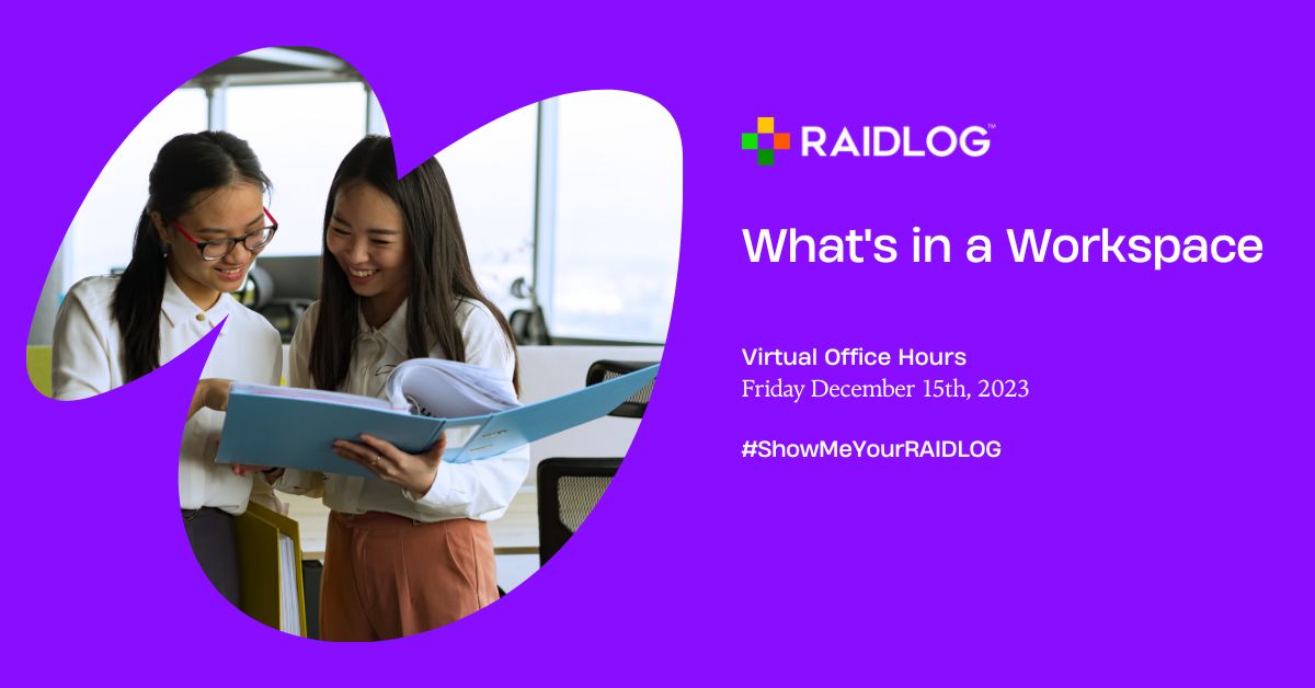 RAIDLOG Office Hours - What's in a Workspace